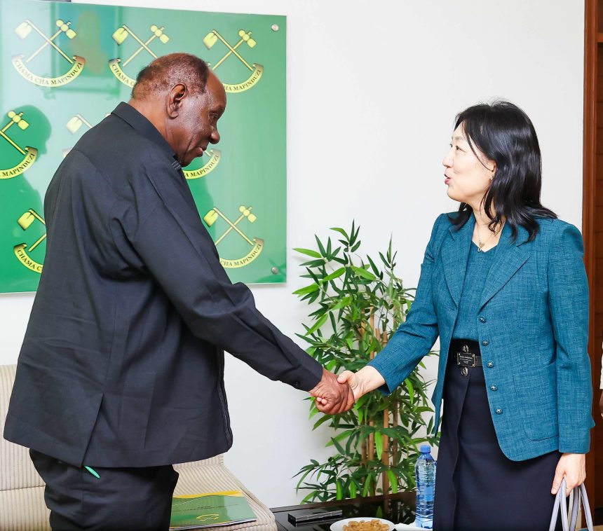 WASIRA AZUNGUMZA NA BALOZI WA KOREA - The Media Brains